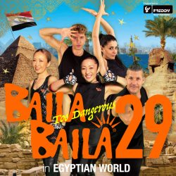 BAILA BAILA ｜ シリーズ ｜ DDDweb